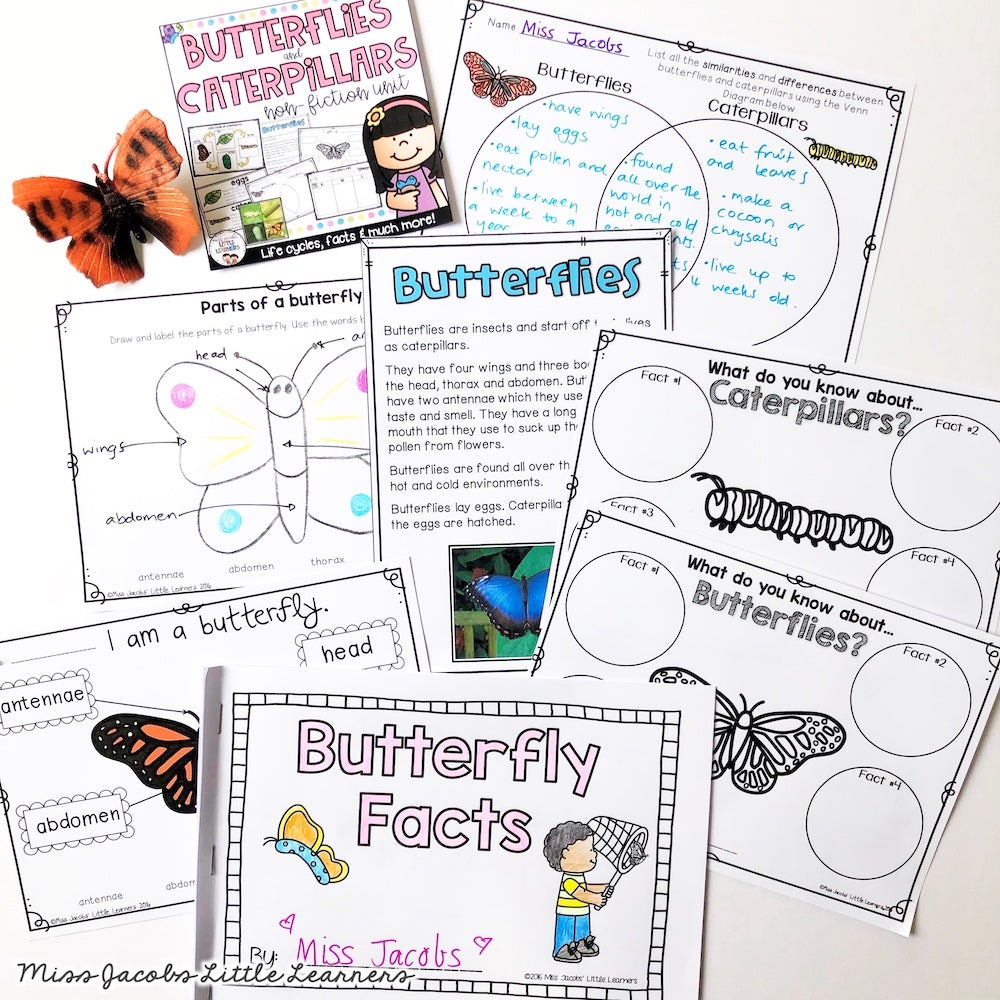 Butterflies and Caterpillars Unit - Living Things and Life Cycles