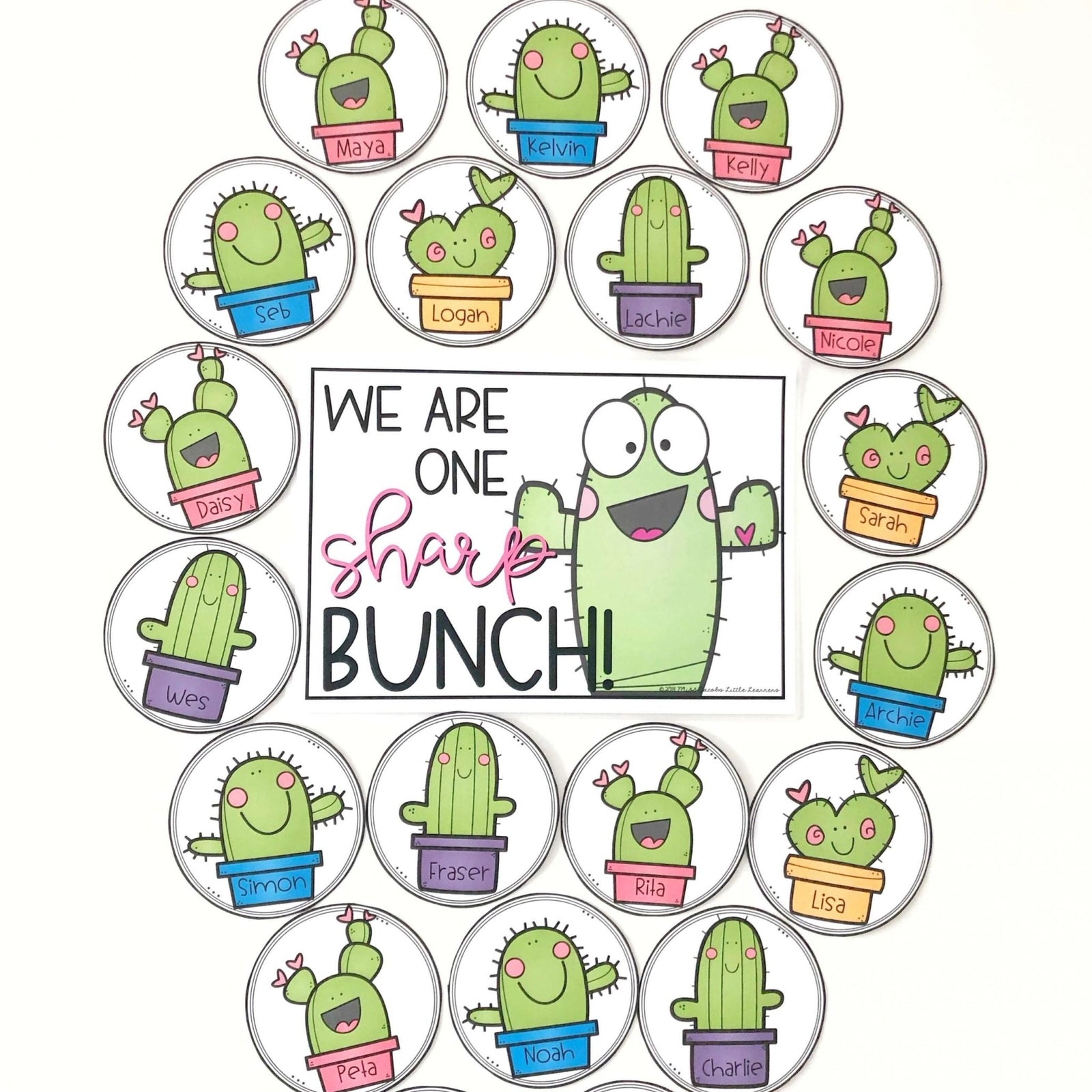 Modern Cactus Classroom Decor - Succulent Theme - Miss Jacobs