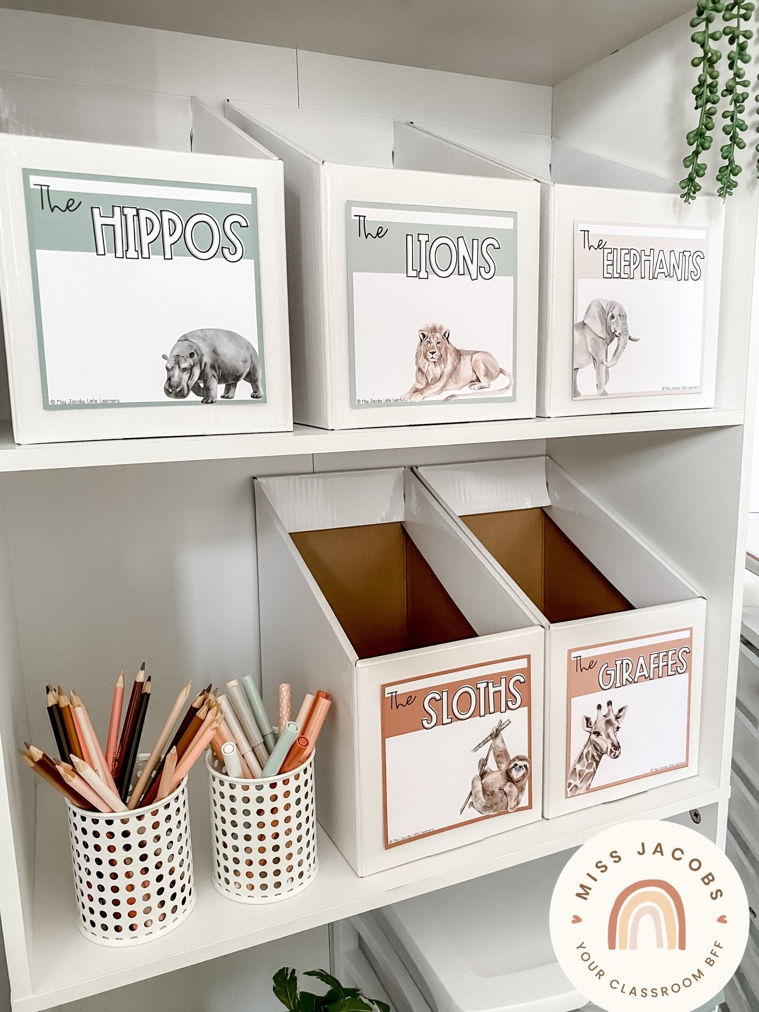 Classroom Labels Student Names & Supplies - Modern Jungle Decor