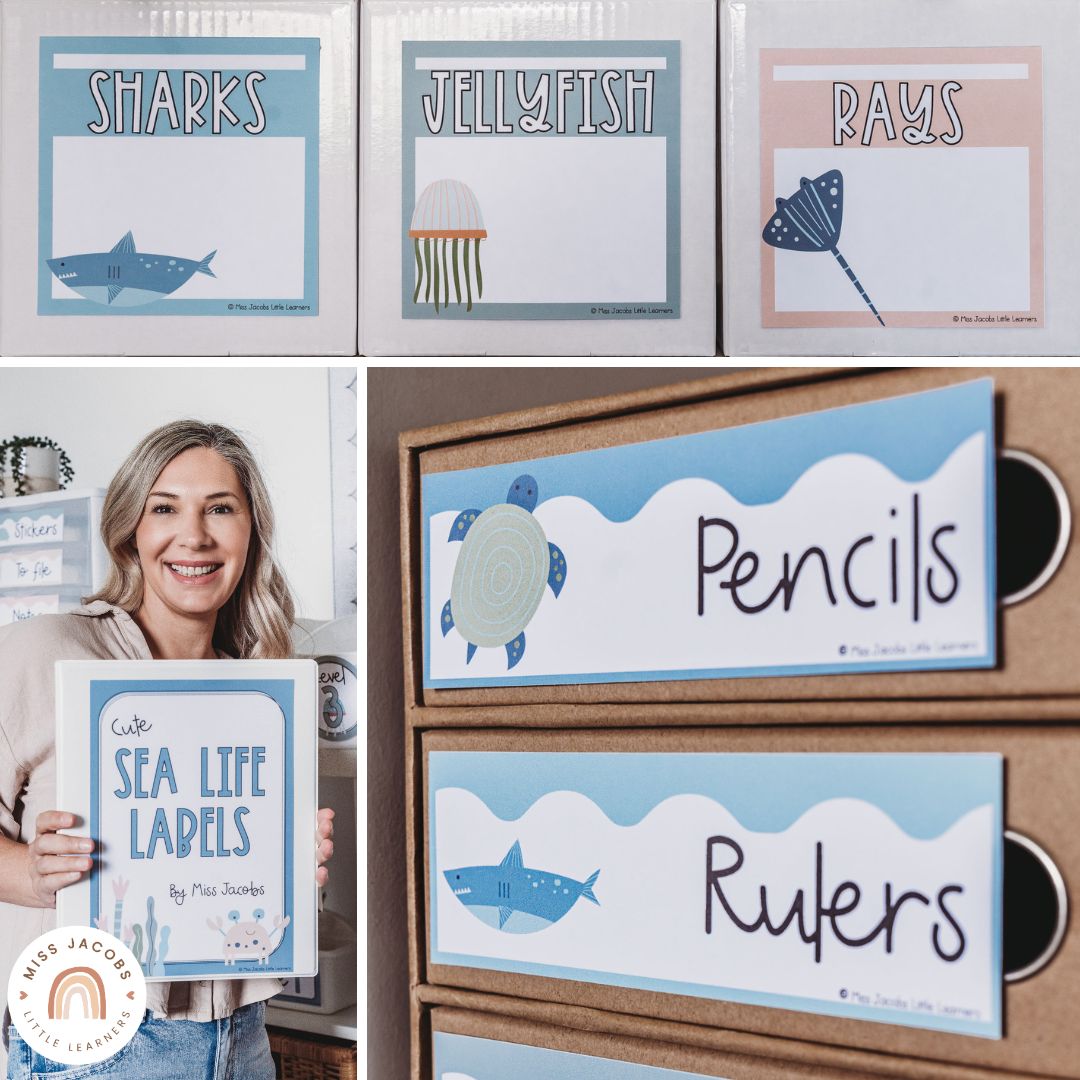 Cute Sea Life Classroom Decor - Ocean Theme - Miss Jacobs