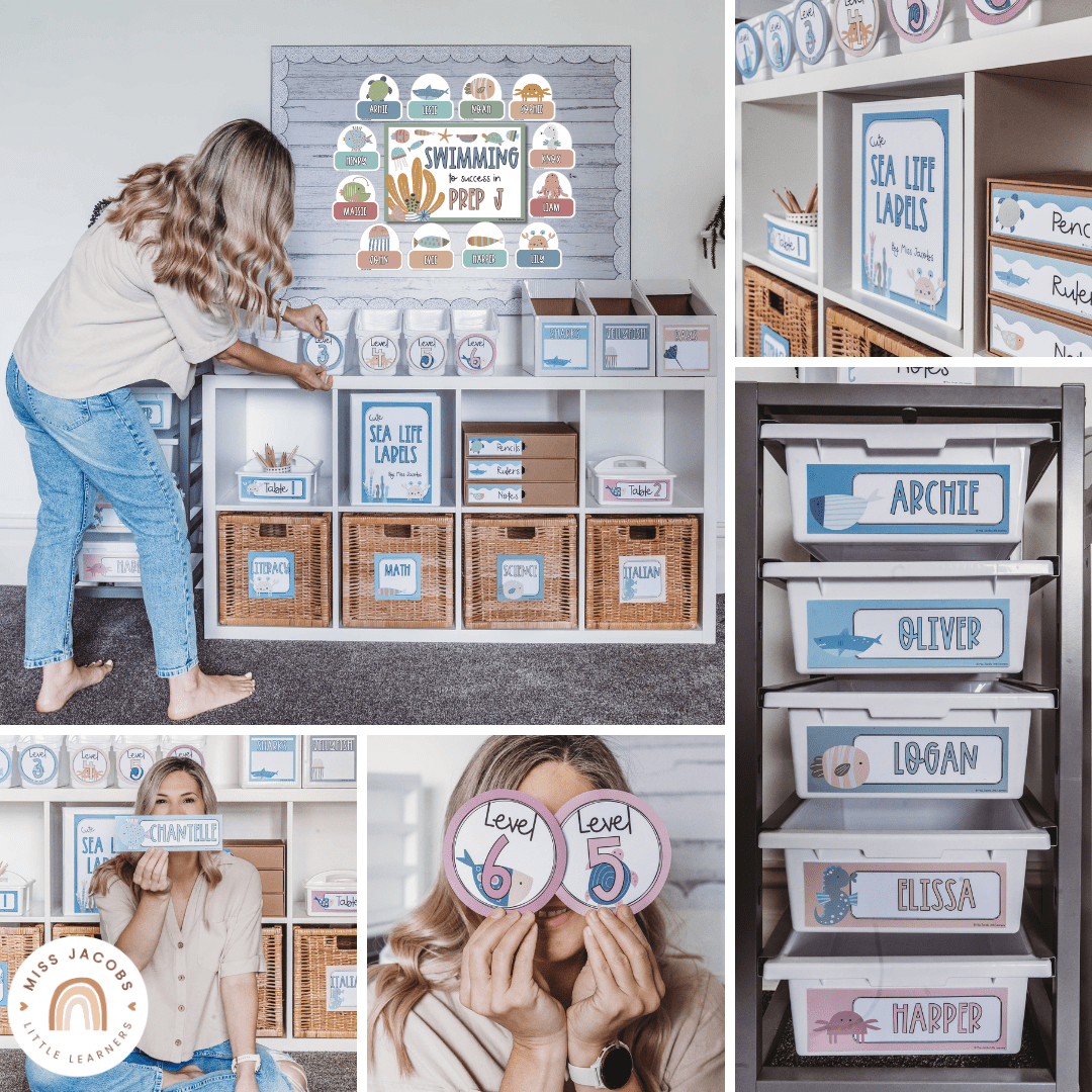 Animal Themed Classroom Decor – Miss Jacobs Little Learners