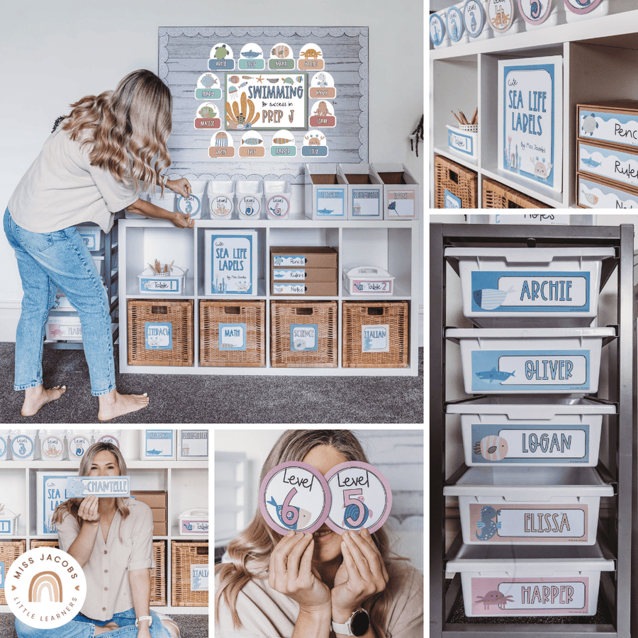 Animal Themed Classroom Decor - Miss Jacobs Little Learners