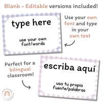 Figurative Language Posters - Daisy Gingham Pastels Theme