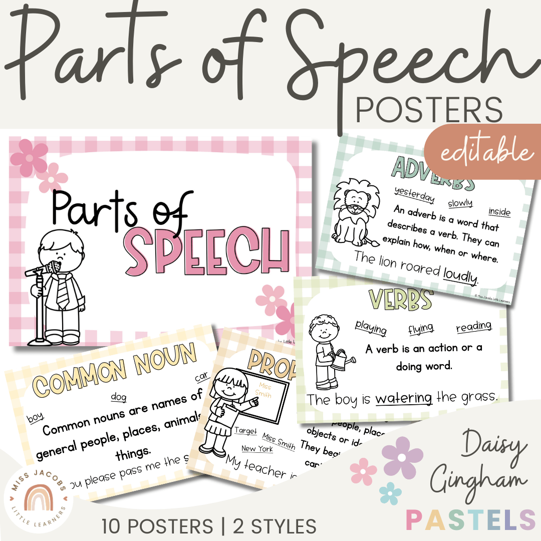 Parts of Speech Posters - Daisy Gingham Pastels Theme