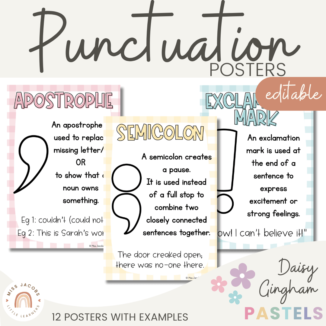 Punctuation Posters - Daisy Gingham Pastels Theme