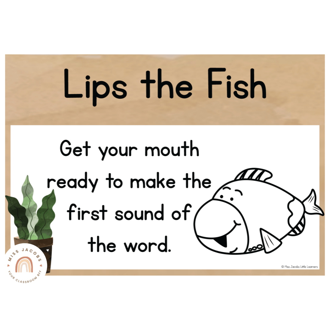 Reading Decoding Strategies Posters - Boho Plants Decor