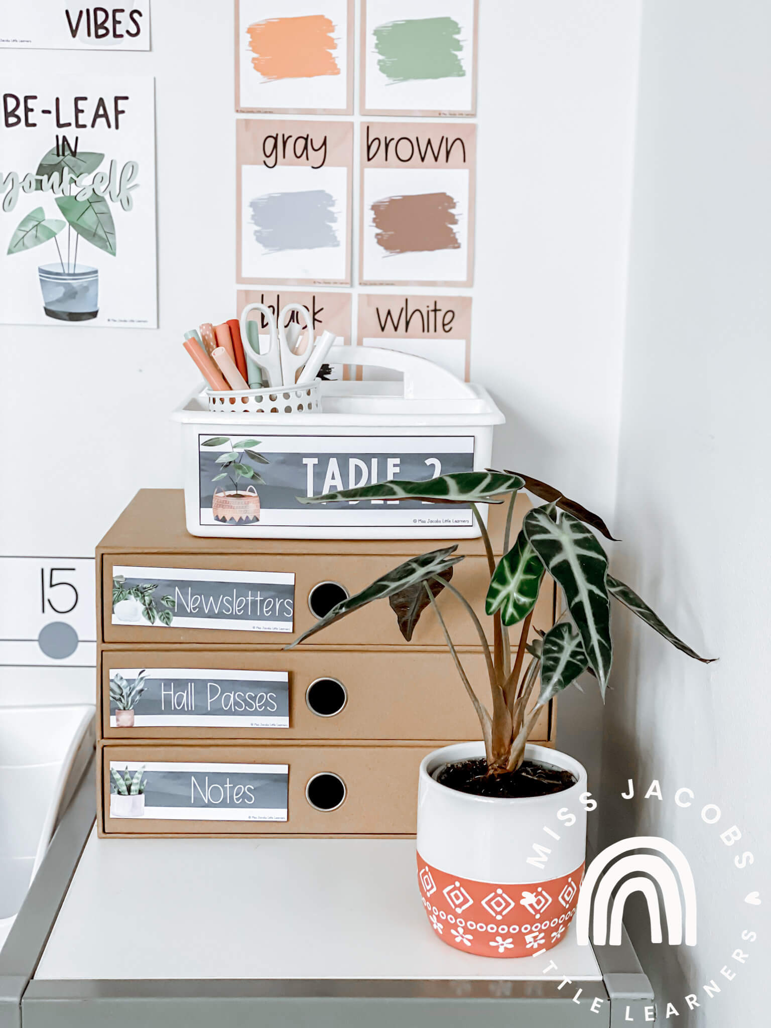 Color Posters - Boho Plants Classroom Decor