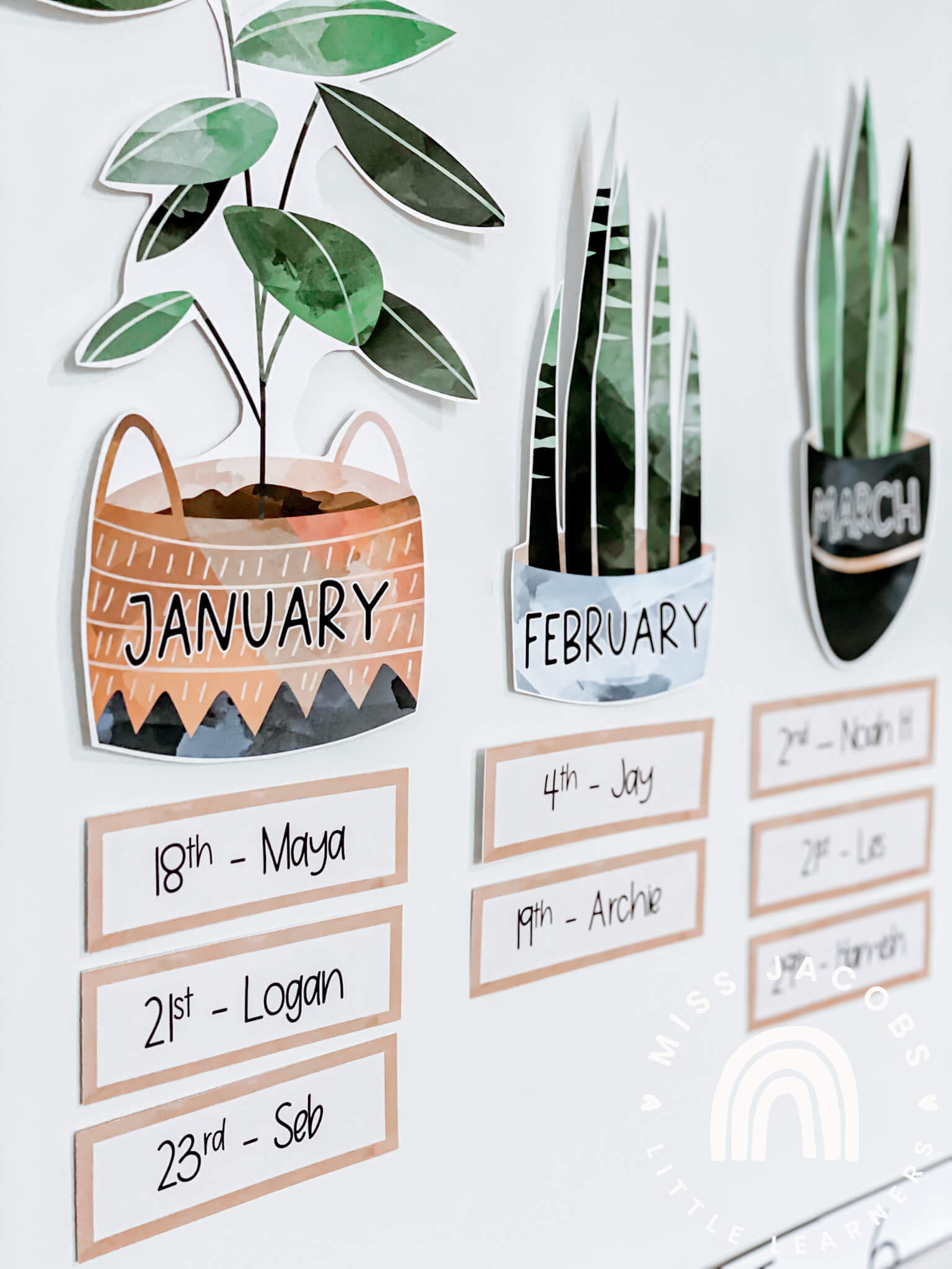 Birthday Display - Boho Plants Bulletin Board Classroom Decor