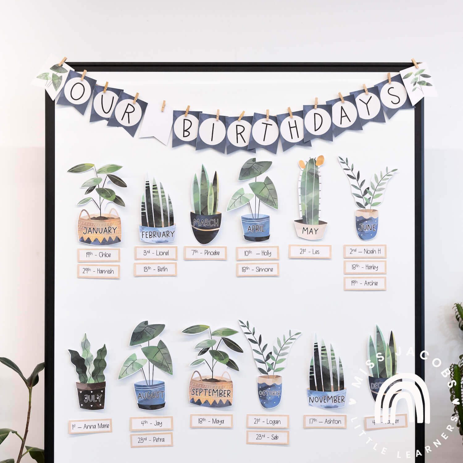 Birthday Display - Boho Plants Bulletin Board Classroom Decor
