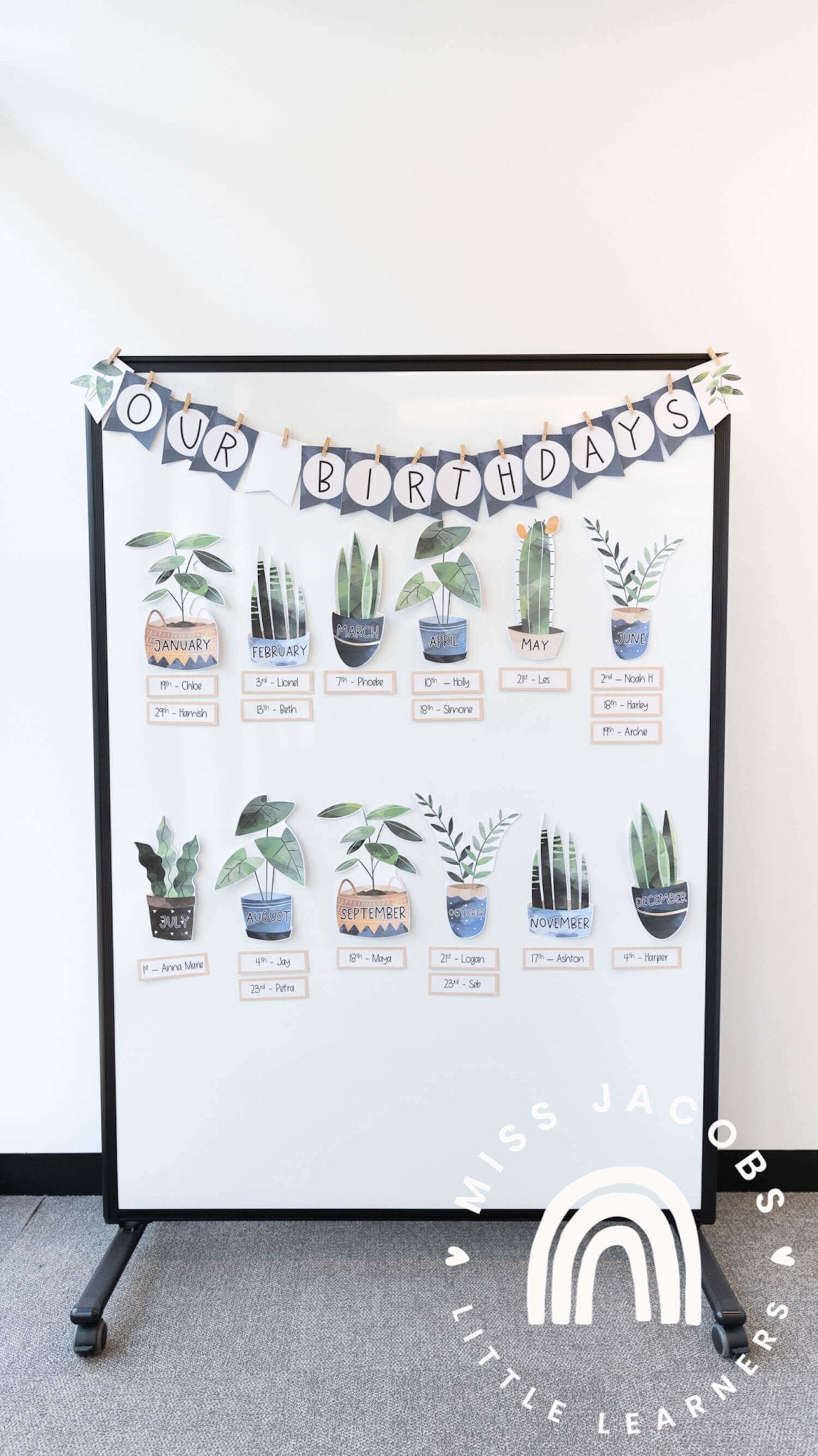 Birthday Display - Boho Plants Bulletin Board Classroom Decor