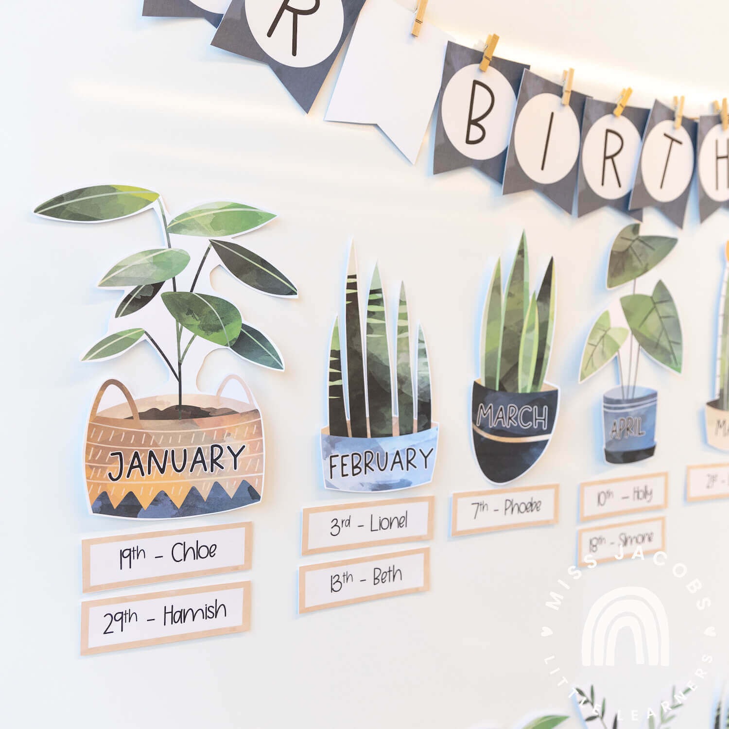 Birthday Display - Boho Plants Bulletin Board Classroom Decor