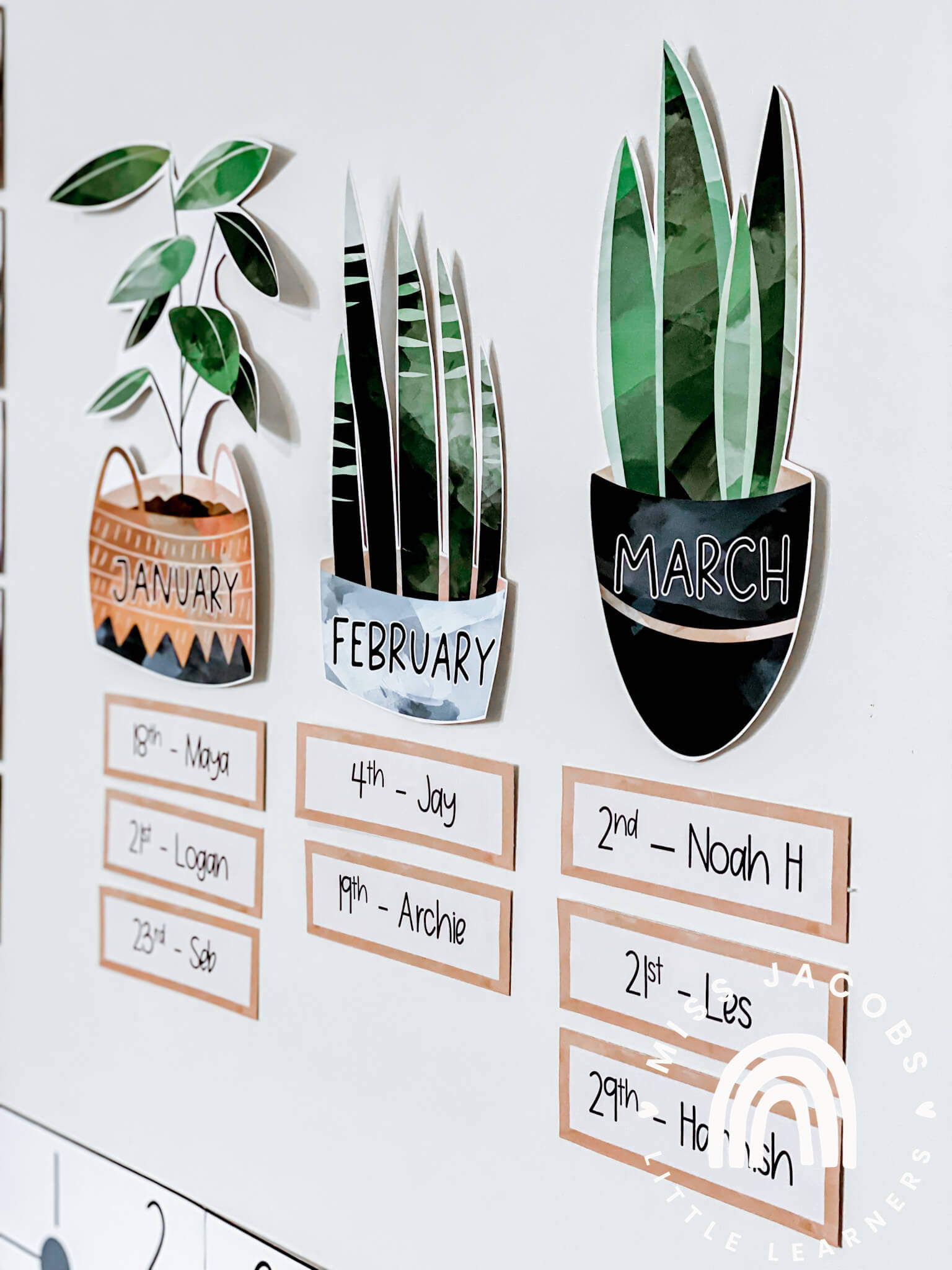 Birthday Display - Boho Plants Bulletin Board Classroom Decor