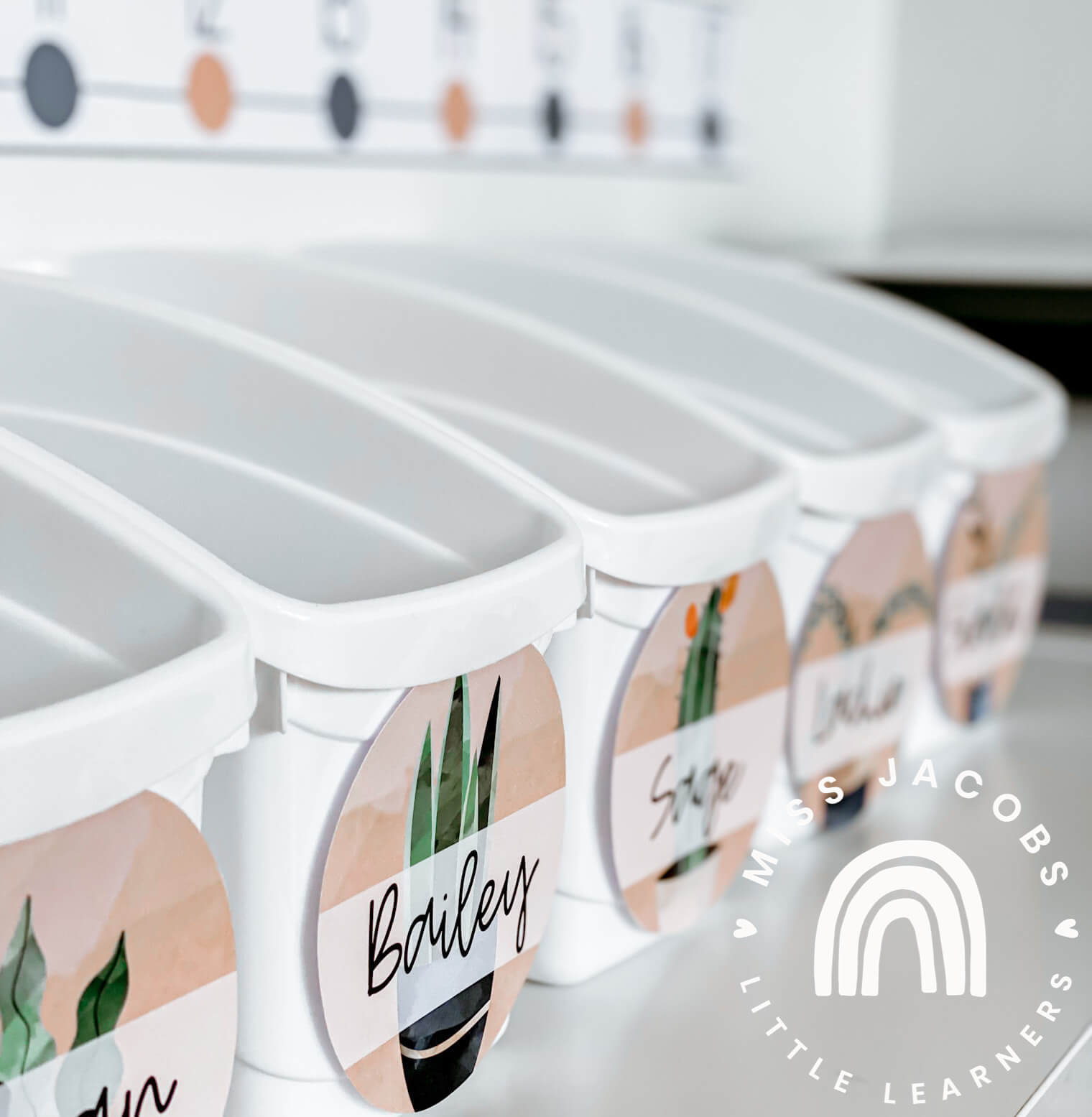 Classroom Labels Student Names & Supplies - Boho Plants Decor
