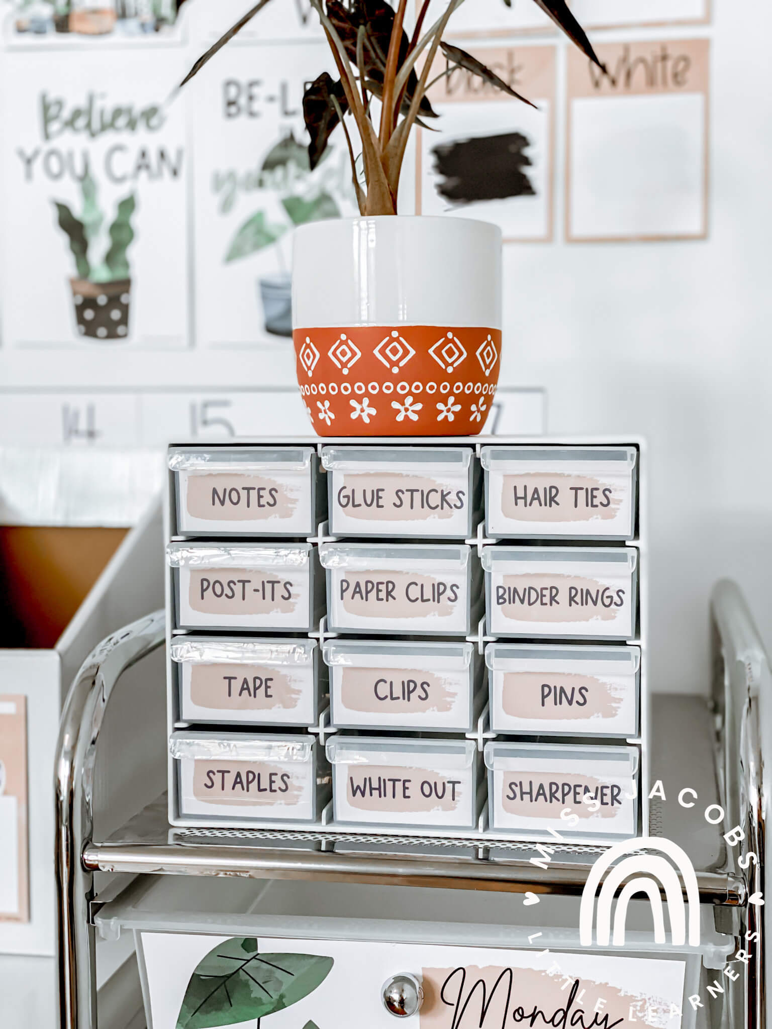 Teacher Toolbox Labels - Boho Plants Classroom Decor