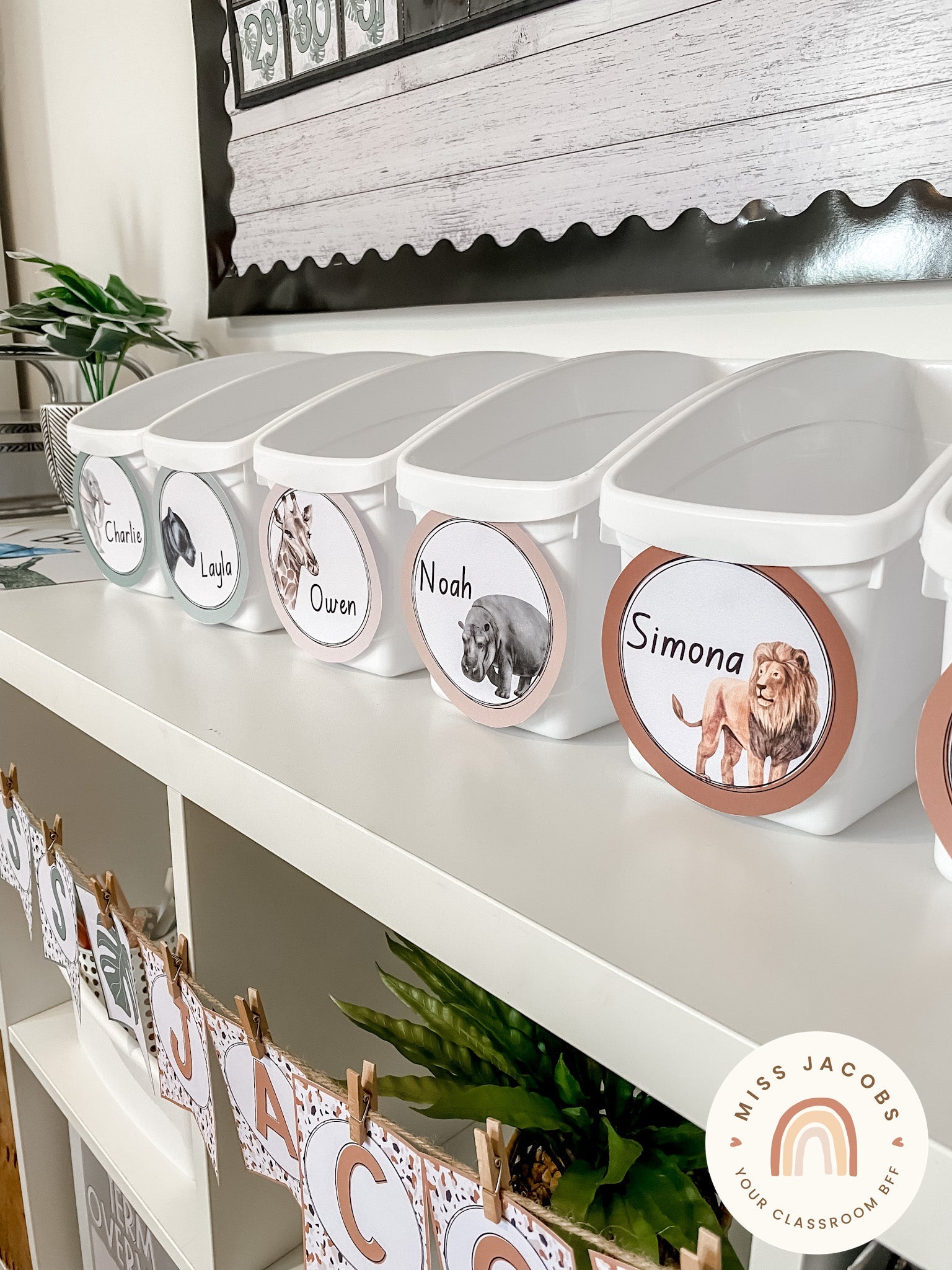 Modern Jungle Classroom Decor - Rustic Animal Theme - Miss Jacobs