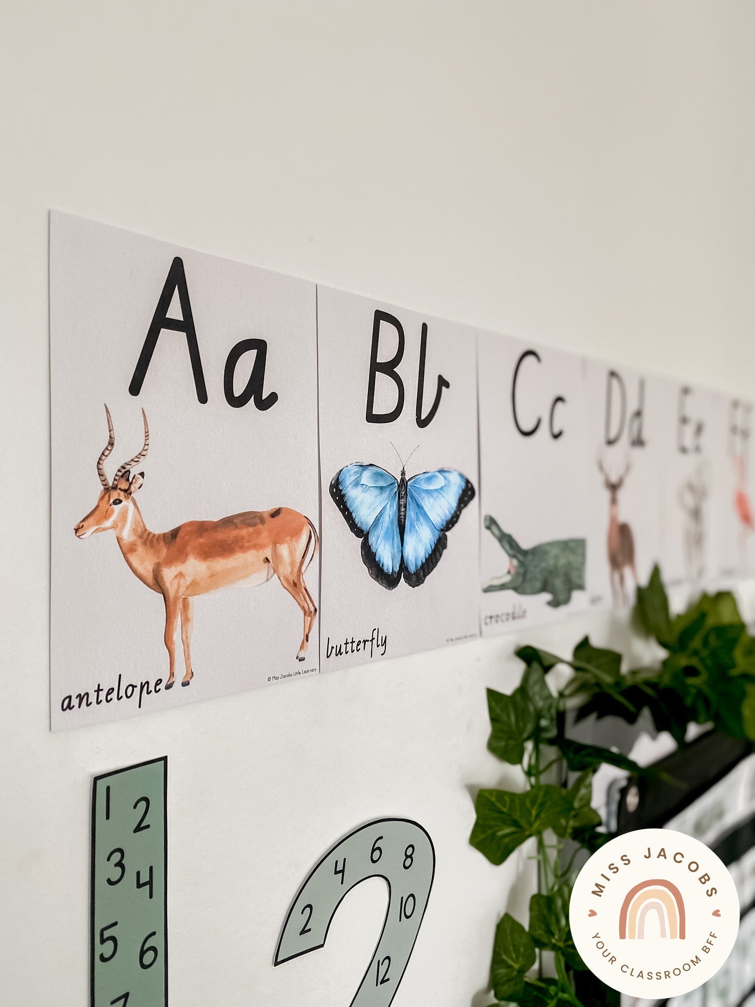 Modern Jungle Classroom Decor - Rustic Animal Theme - Miss Jacobs