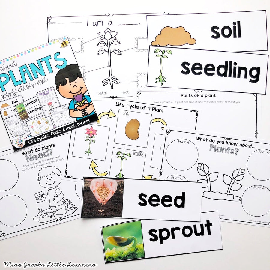 Units Of Work - Teaching Resources - Miss Jacobs Little Learners - Miss ...