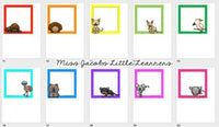 Reading Groups - Posters & Labels | Australian Animals – Miss Jacobs ...