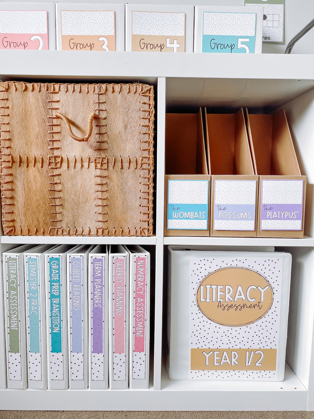 Spotty Bright Classroom Decor - Neon Rainbow Colors - Miss Jacobs ...