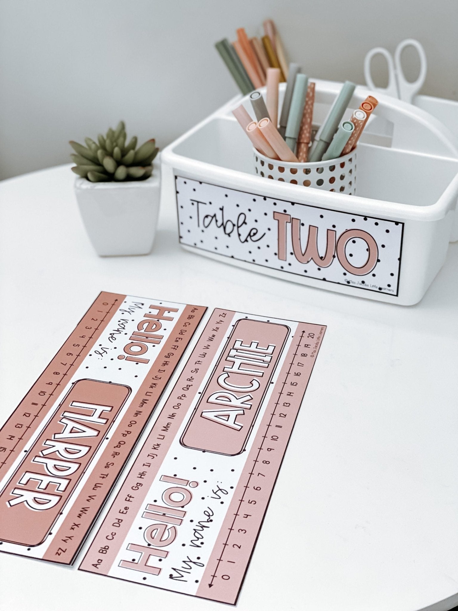 STUDENT NAME & GOALS PLATES | SPOTTY NEUTRALS | EDITABLE
