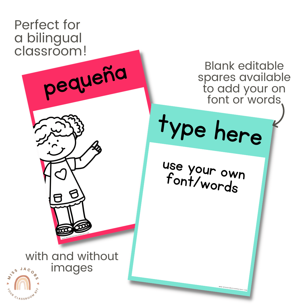 Synonym Posters - Bright Theme - Miss Jacobs