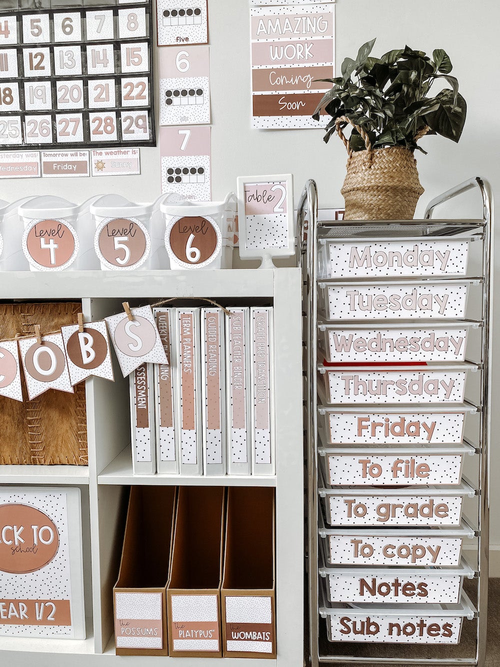 Spotty Neutrals Classroom Collection - Miss Jacobs Little Learners ...