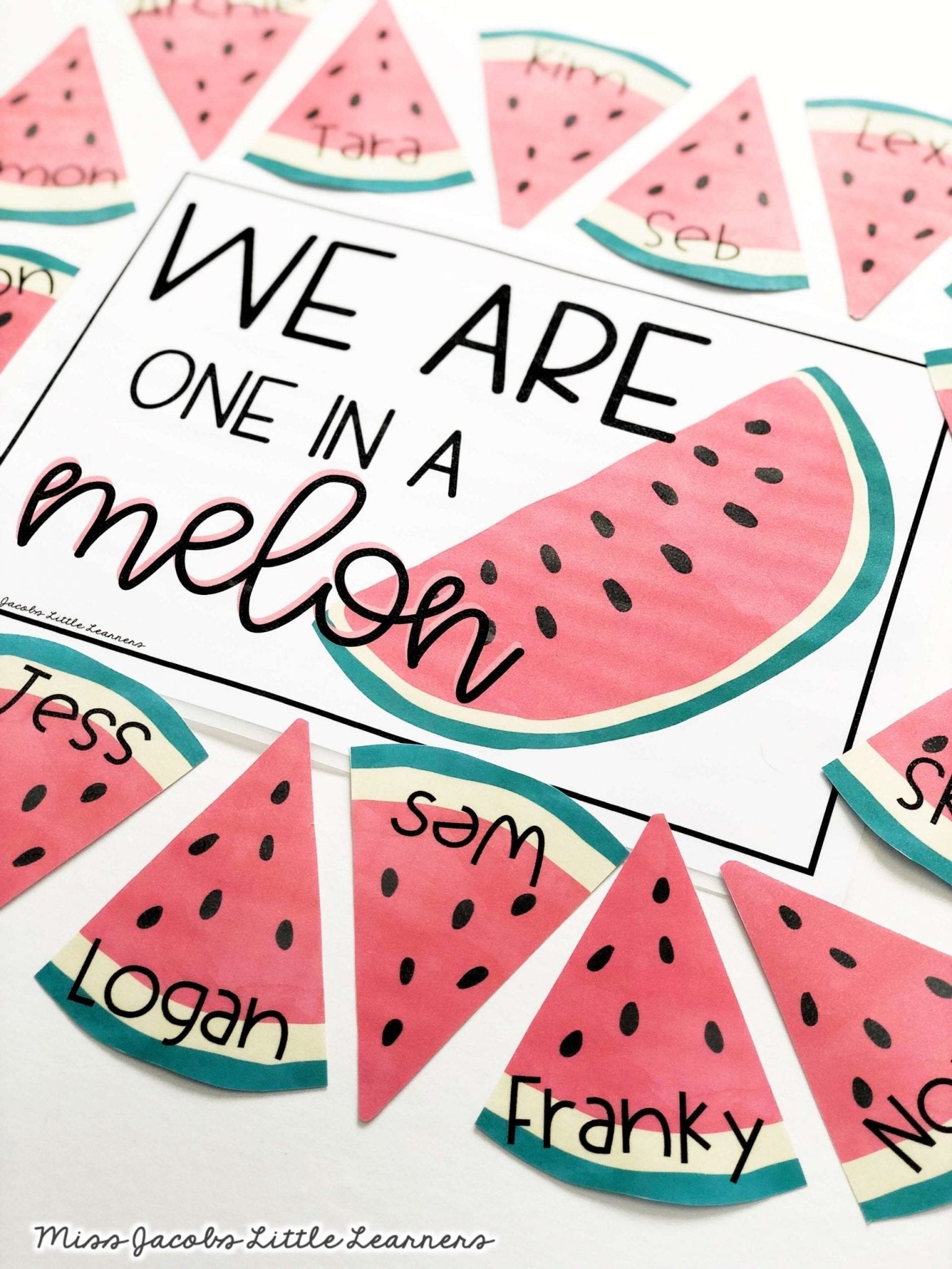 Door Display - Tropical Vibes Classroom Decor