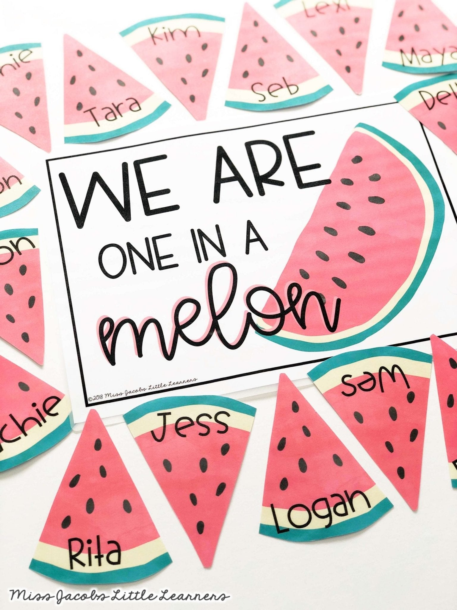 Door Display - Tropical Vibes Classroom Decor