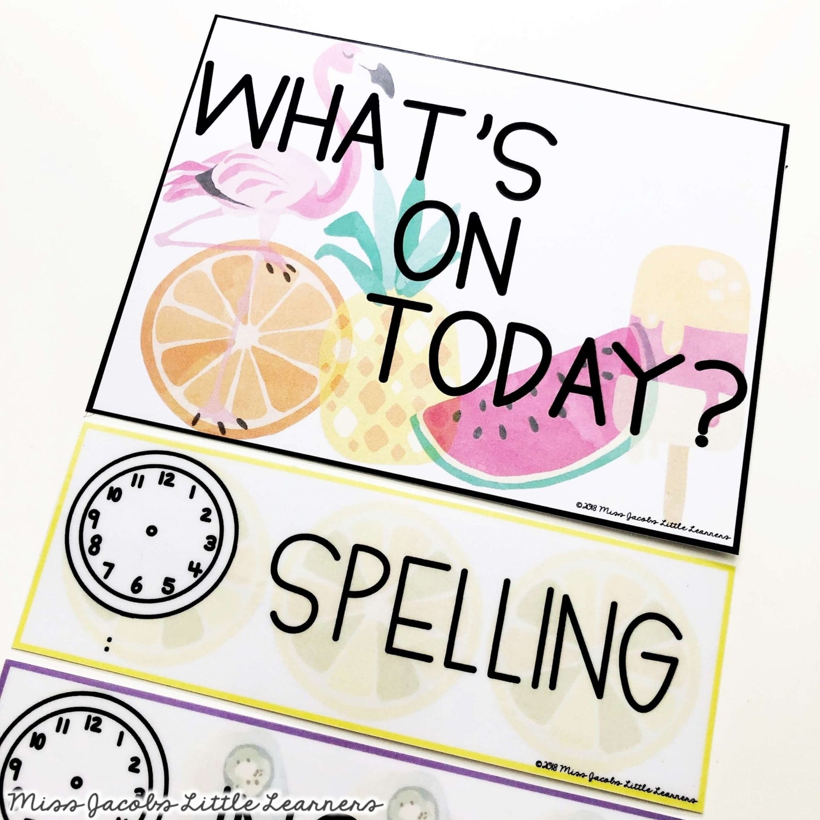 Visual Timetable | Editable | Tropical Theme